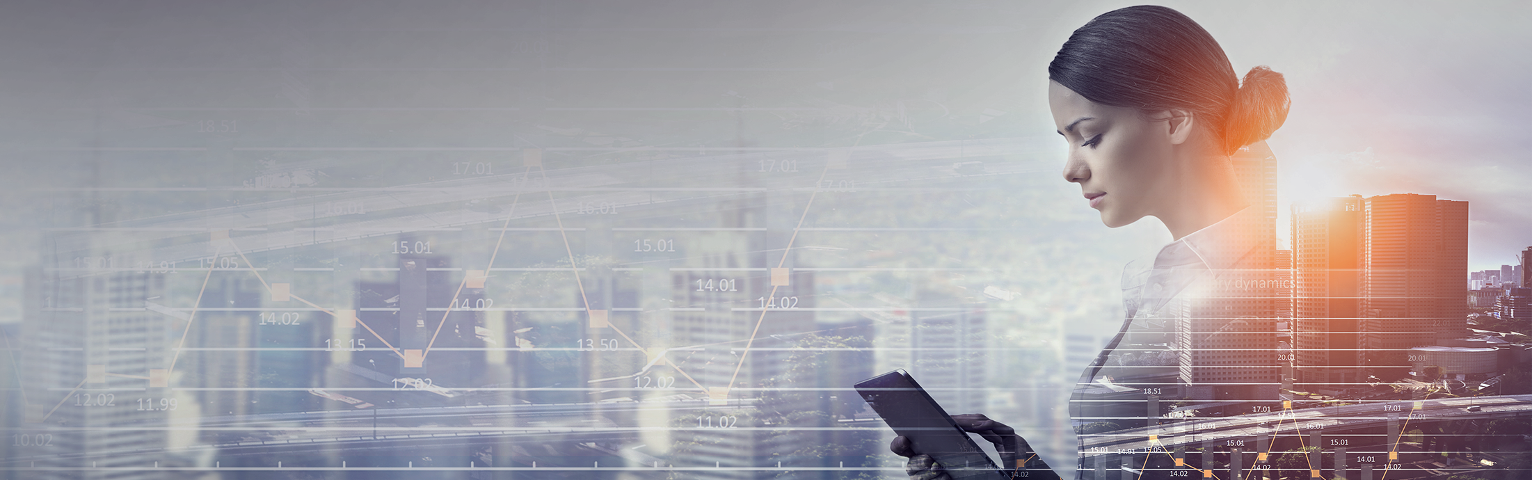 Services - almentor Business